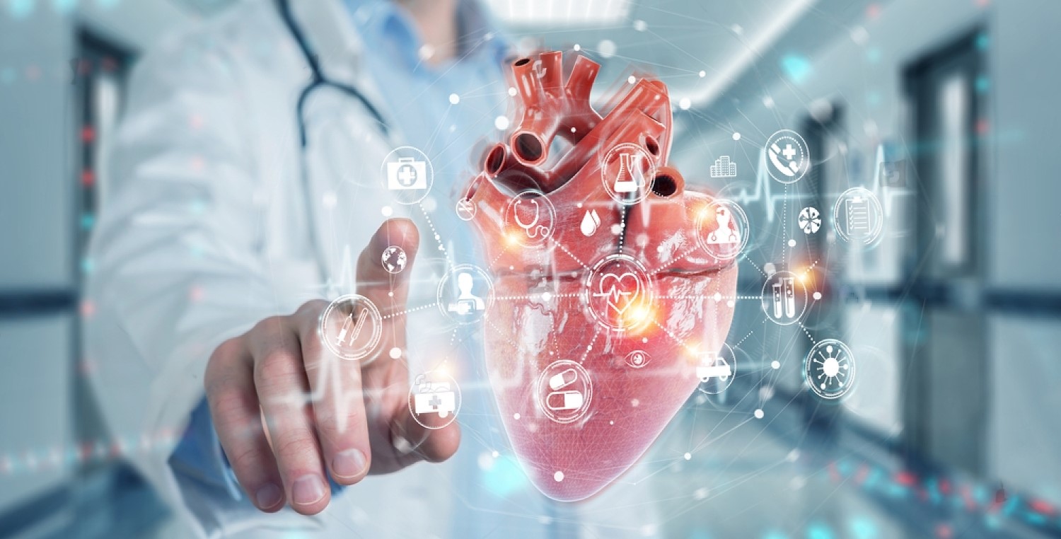 Cardiovascular Surgery: Protect Your Heart and Discover the Key to a ...